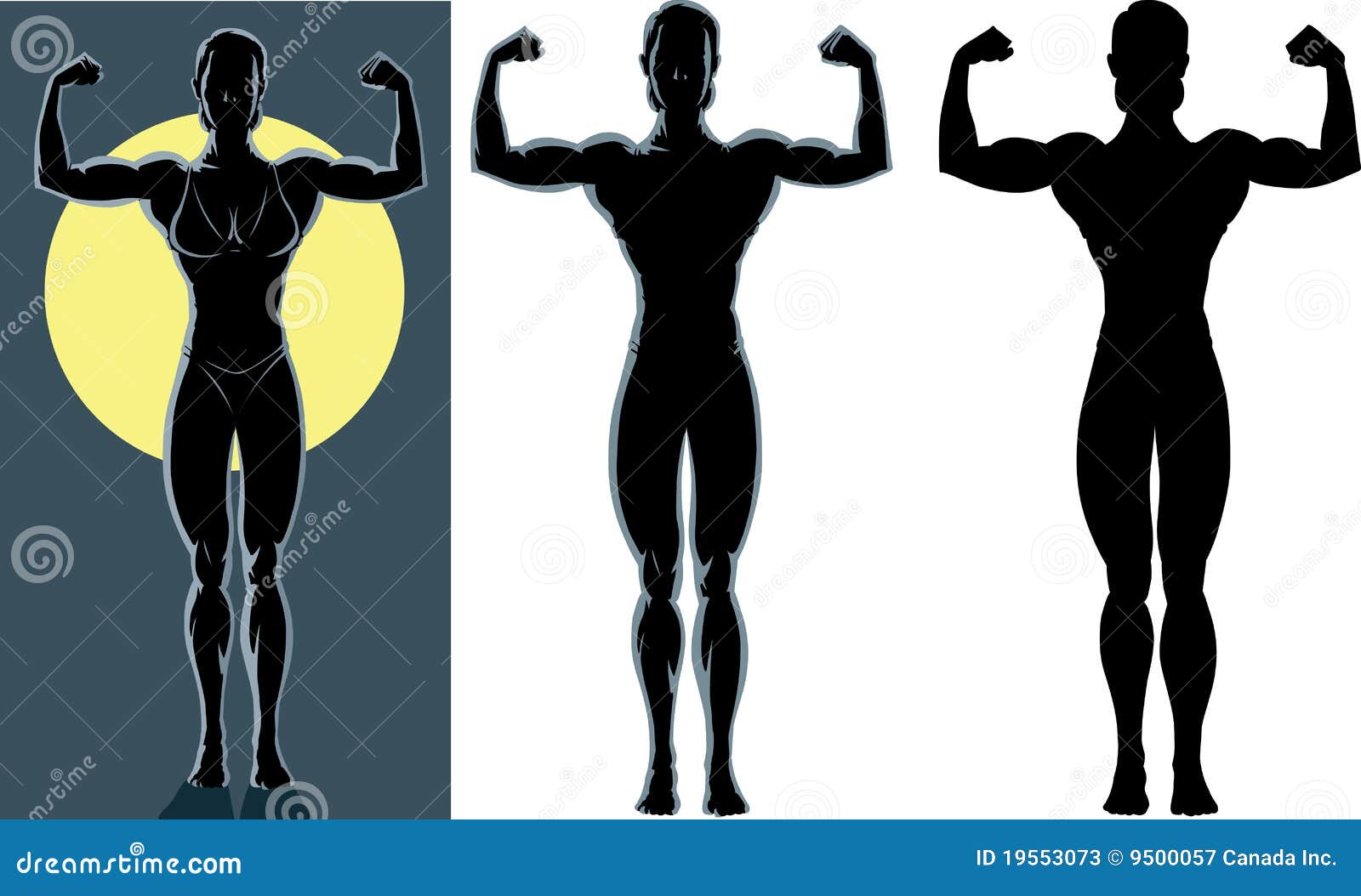 Highlighted bodybuilder stock vector. Illustration of bodybuilder ...