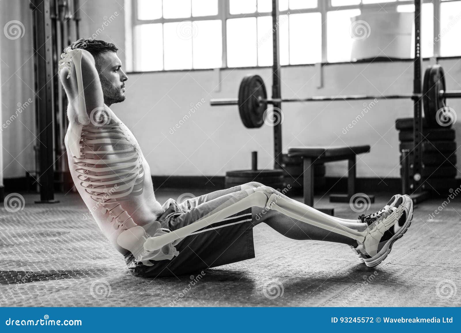 Highlighted Bones of Exercising Man at Gym Stock Photo - Image of ...