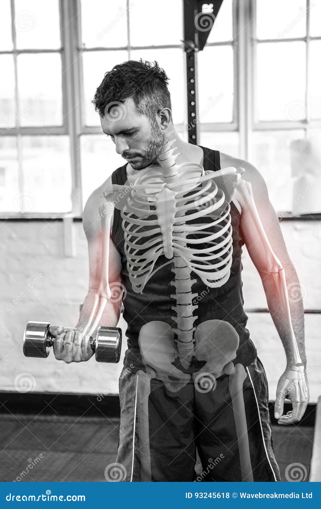 Highlighted Bones of Strong Man Lifting Weights at Gym Stock Photo ...