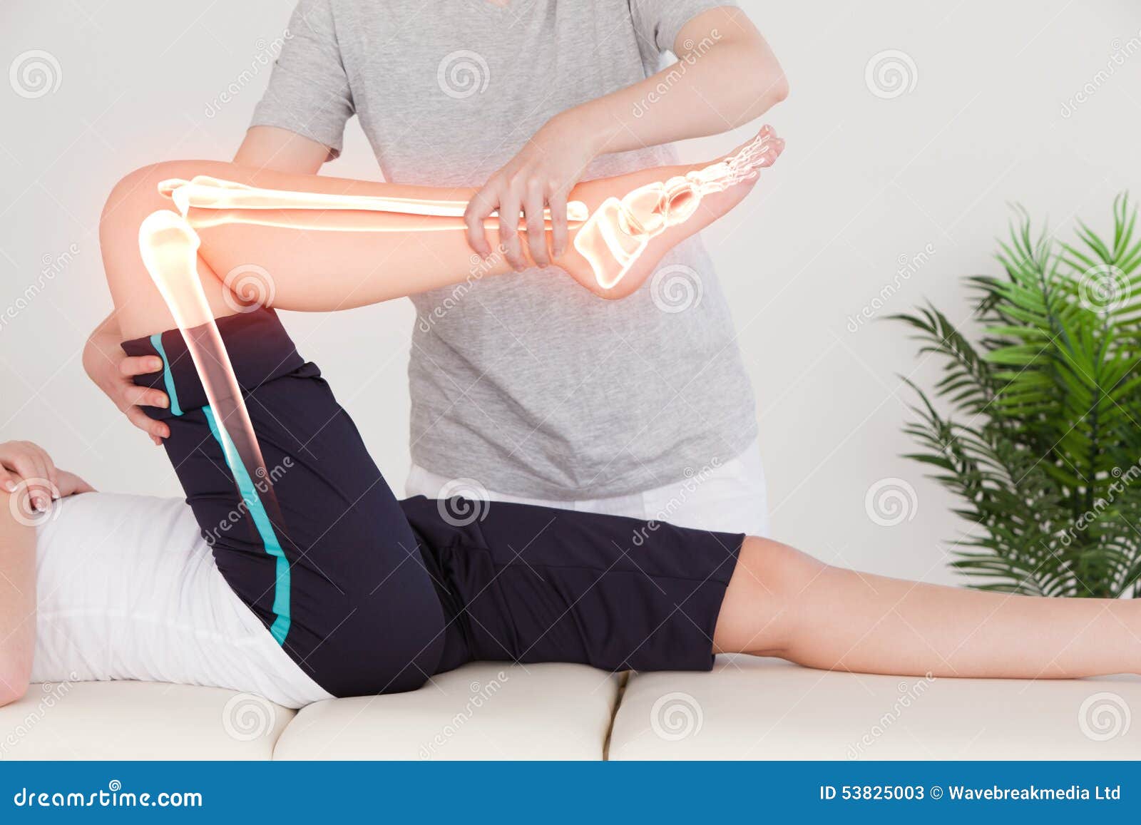 Highlighted Bones of Woman at Physiotherapist Stock Image - Image of ...