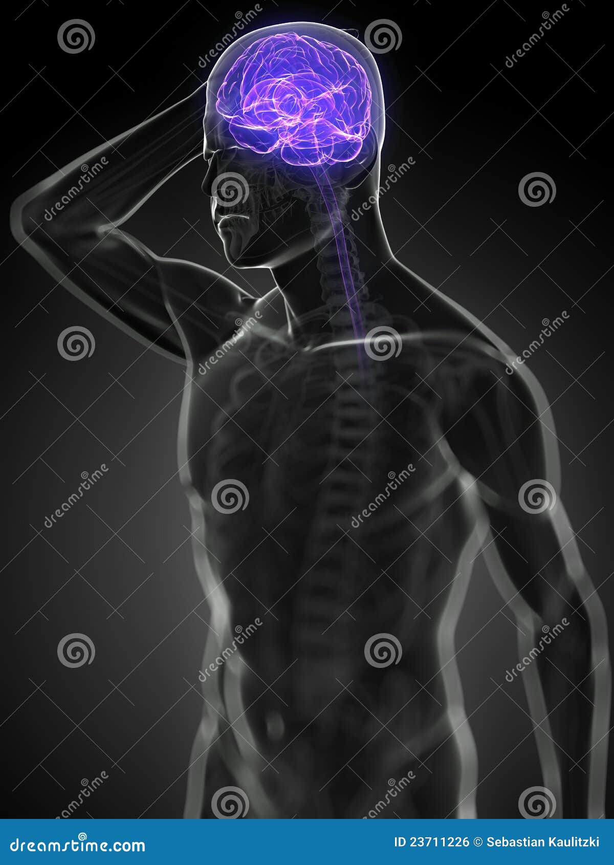Highlighted brain stock illustration. Illustration of render - 23711226