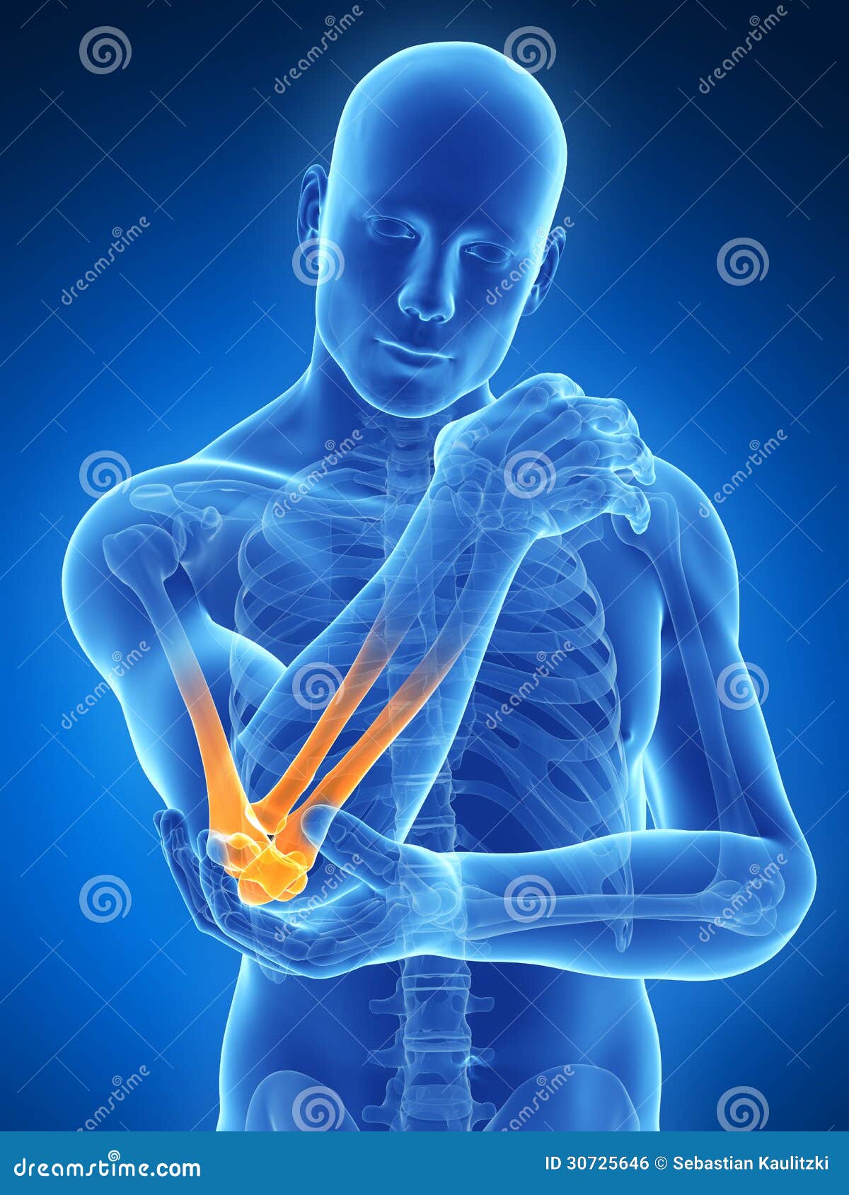 Highlighted Radius Royalty-Free Cartoon | CartoonDealer.com #30723845