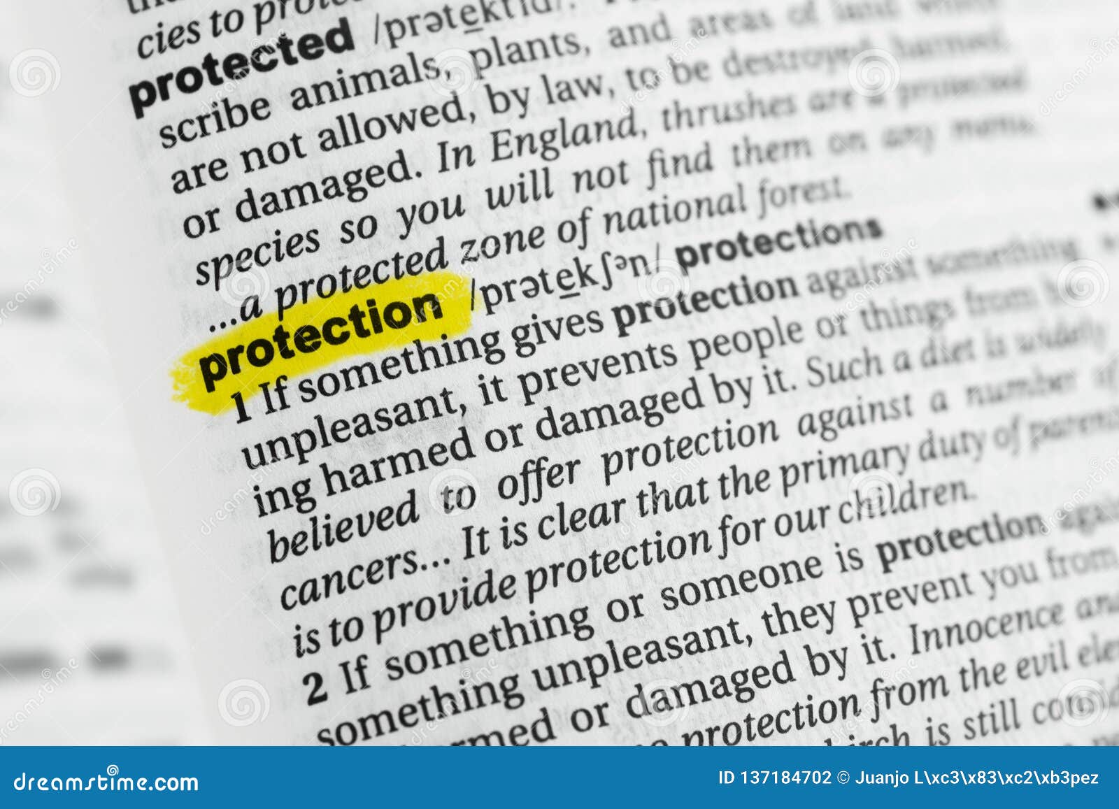 Highlighted English Word Protection and Its Definition at the ...