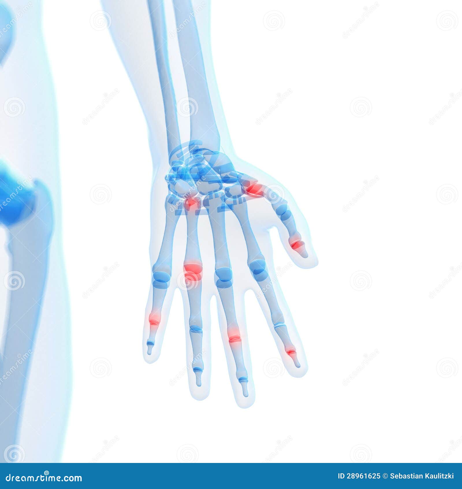 Highlighted finger joints stock illustration. Illustration of healthy ...