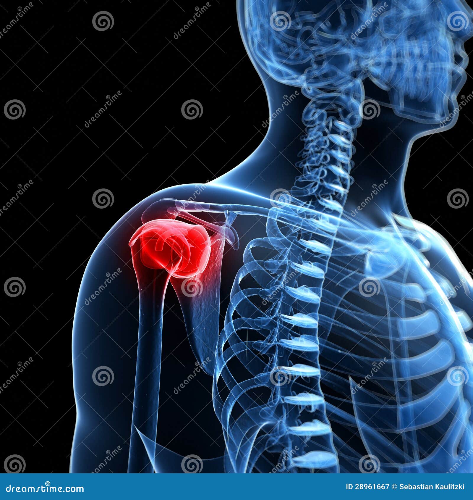 Highlighted male shoulder stock illustration. Illustration of joint ...