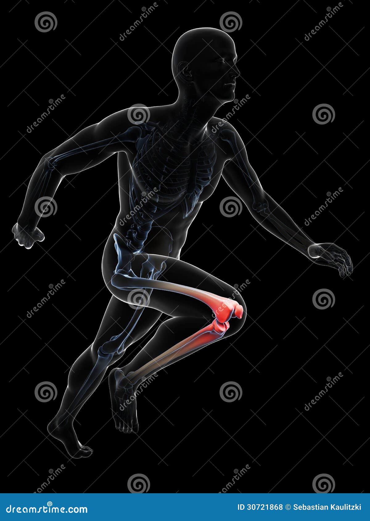 Highlighted runner joints stock illustration. Illustration of human ...