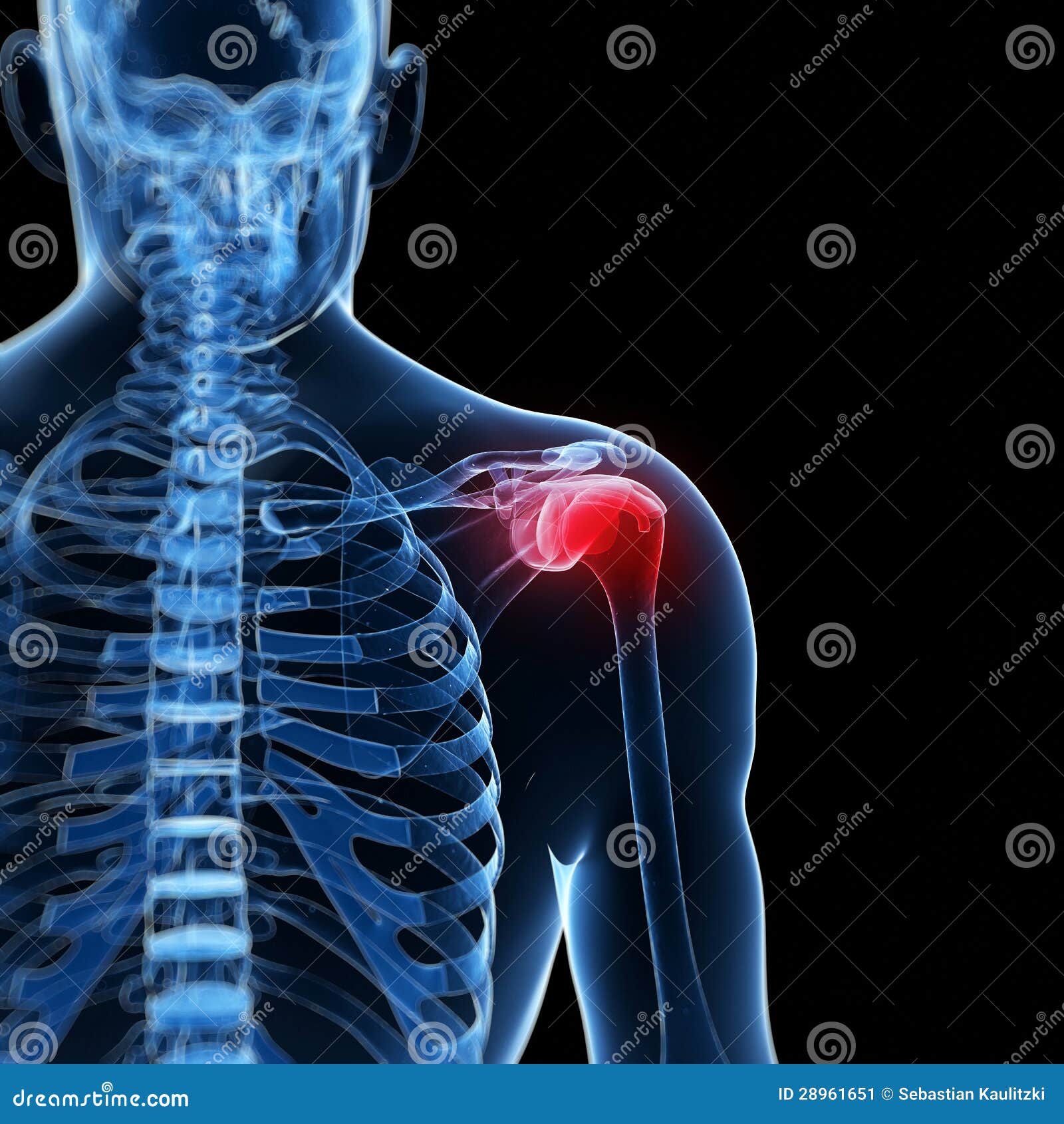 Highlighted shoulder stock illustration. Illustration of cuff - 28961651