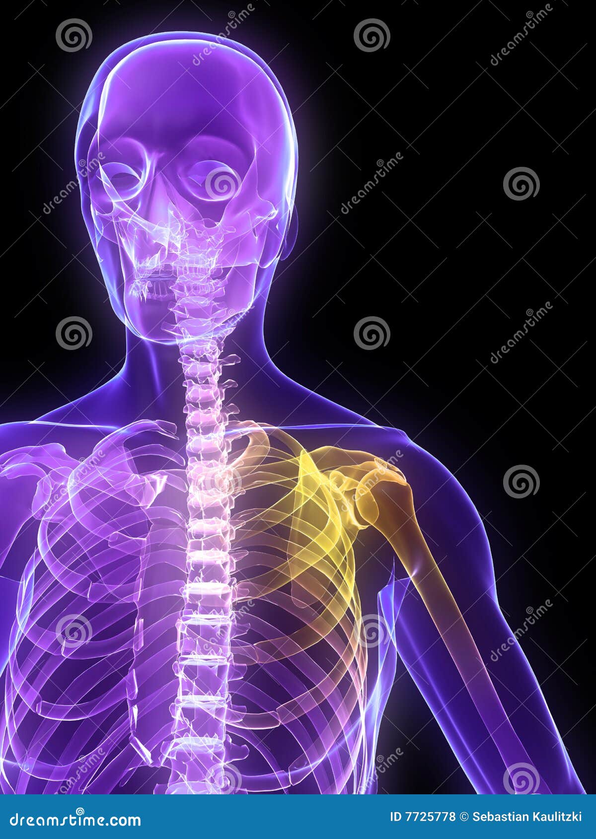 Highlighted shoulder stock illustration. Illustration of ache - 7725778
