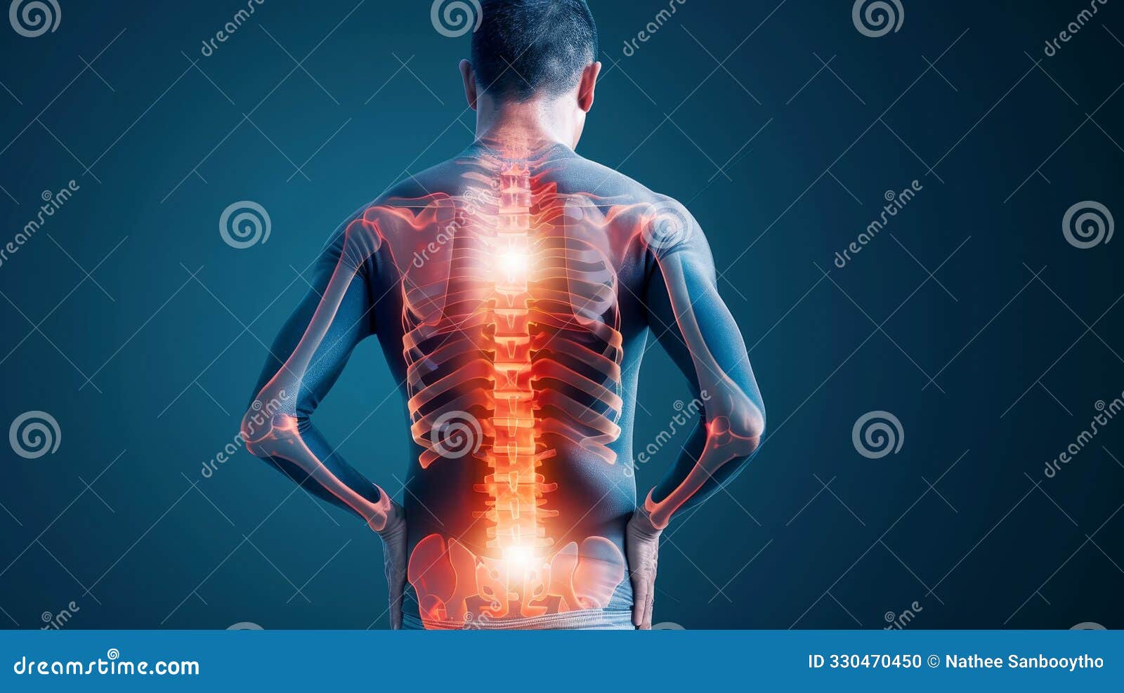 Highlighted Spinal Anatomy in Back Pain Concept Stock Illustration ...