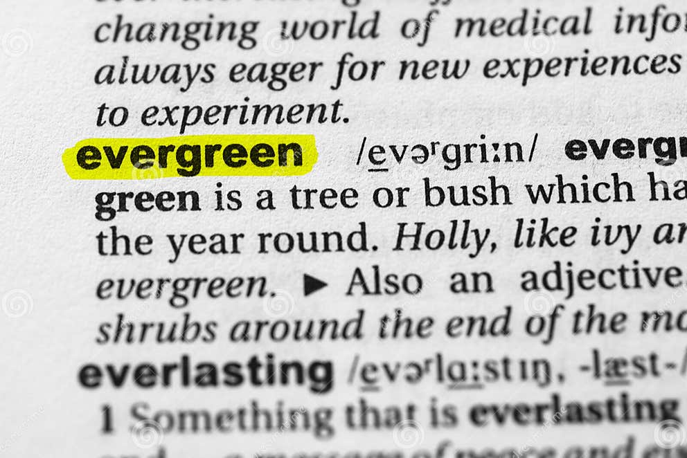 Highlighted Word Evergreen Concept and Meaning Stock Photo - Image of ...