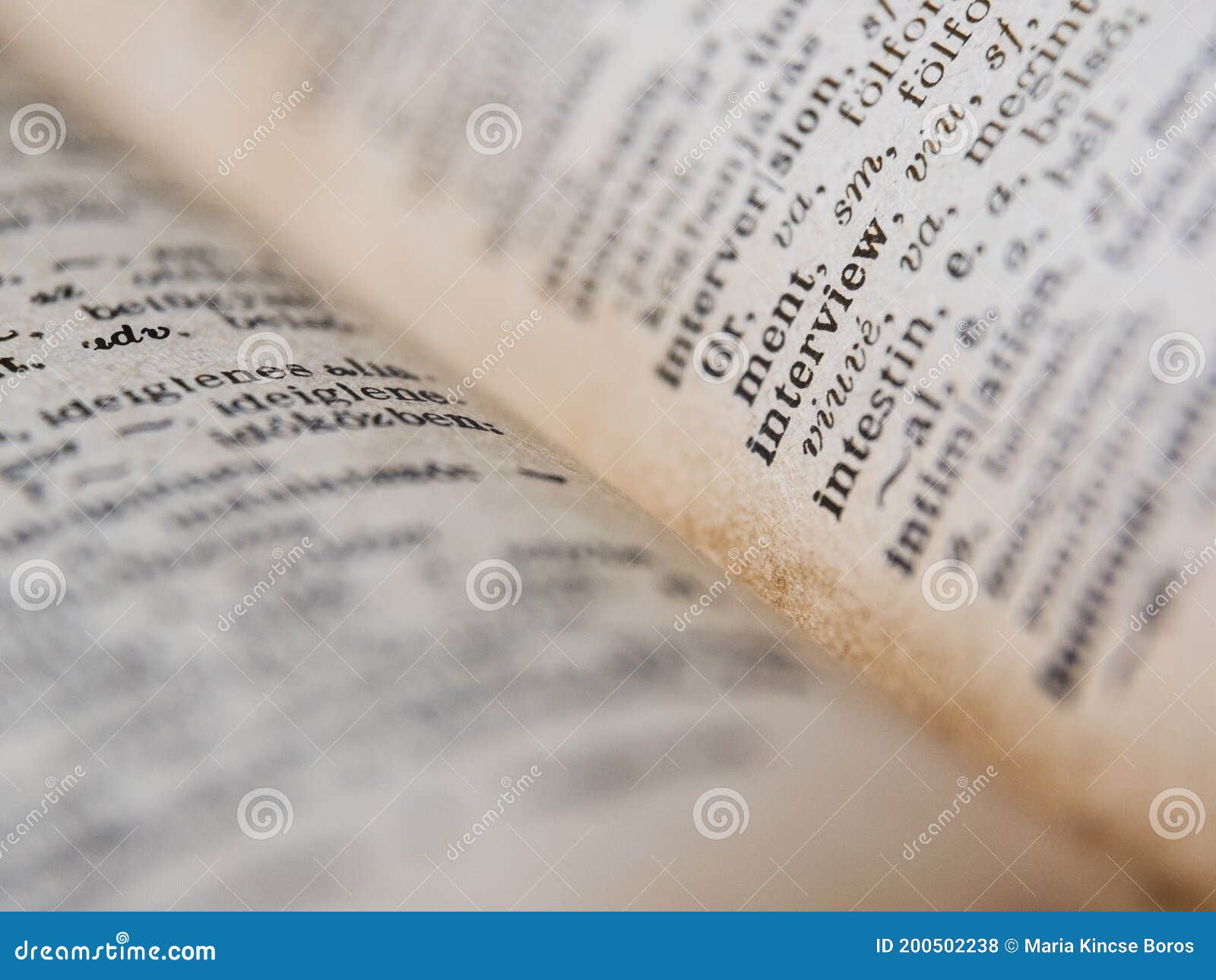 Words In A Book Background