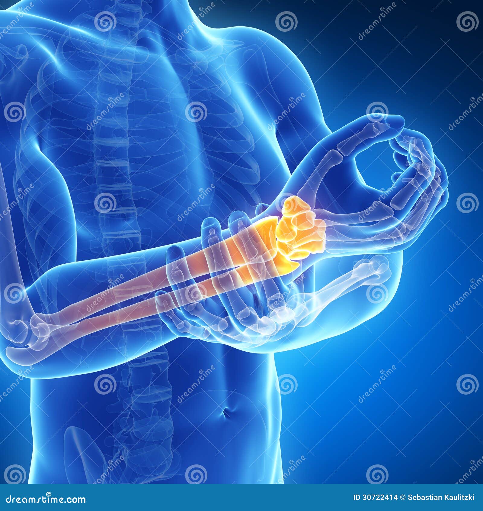Highlighted wrist stock illustration. Illustration of rendering - 30722414