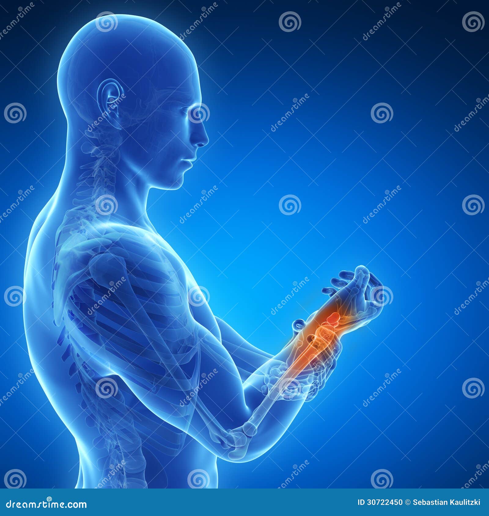 Highlighted Radius Royalty-Free Cartoon | CartoonDealer.com #30723845