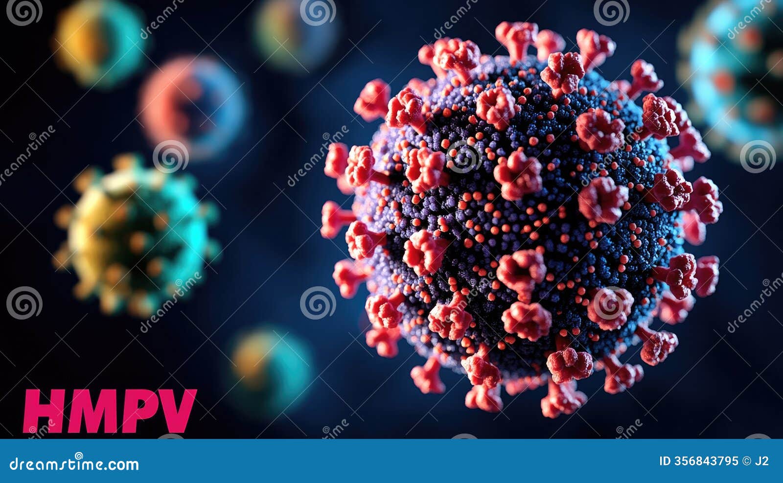 Highly Detailed 3d Visualization of Human Metapneumovirus Structure ...