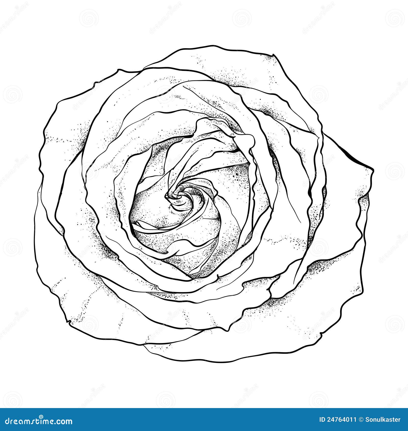 Highly Detailed Hand Drawn Rose Stock Vector - Illustration of contour ...