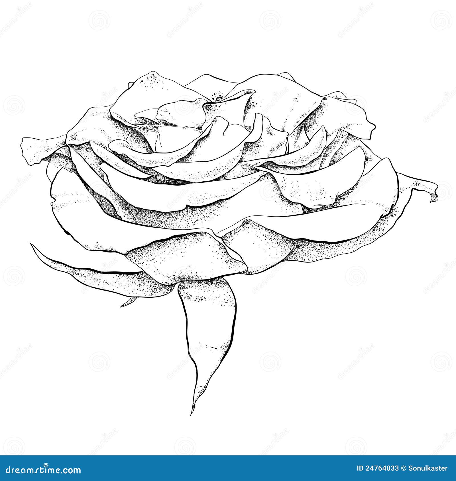 Highly Detailed Hand Drawn Rose Stock Vector - Illustration of nature ...