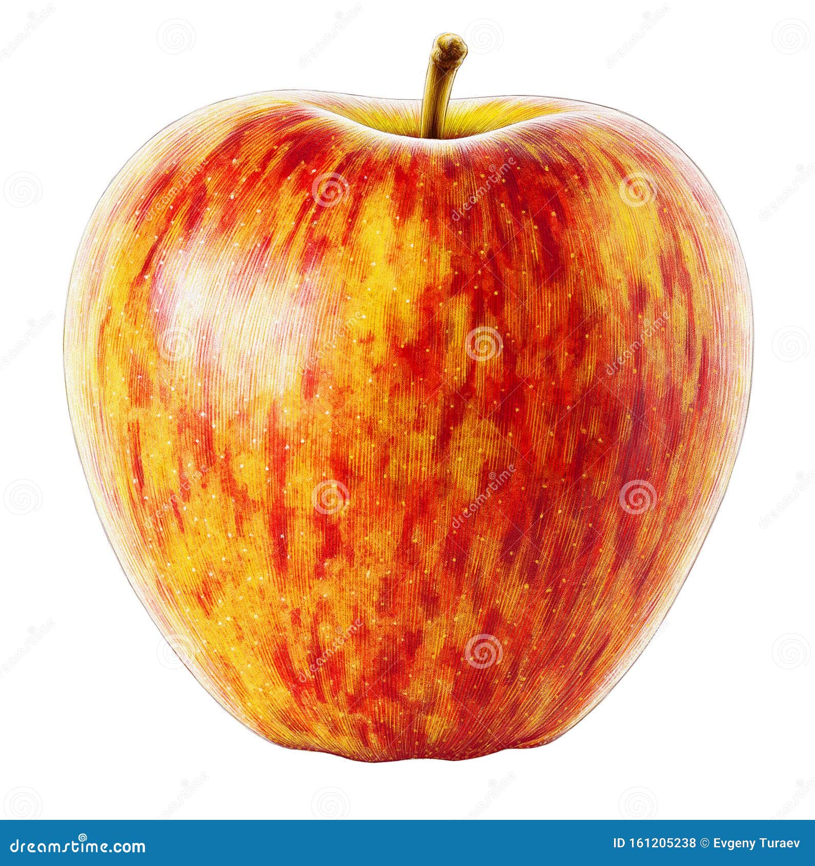 Highly Detailed High Quality Realistic Apple Illustration Stock ...