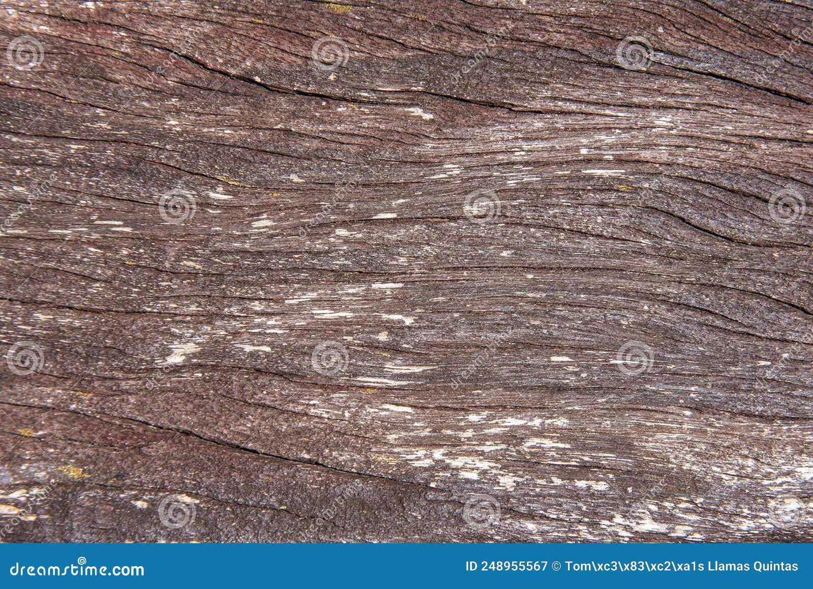 Highly Embossed Wooden Board, Vector Wood Stock Image - Image of ...