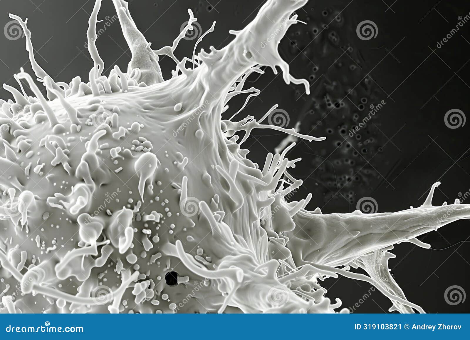 A Highly Magnified Image Of The Exoskeleton Of A Nematode Uncovered ...