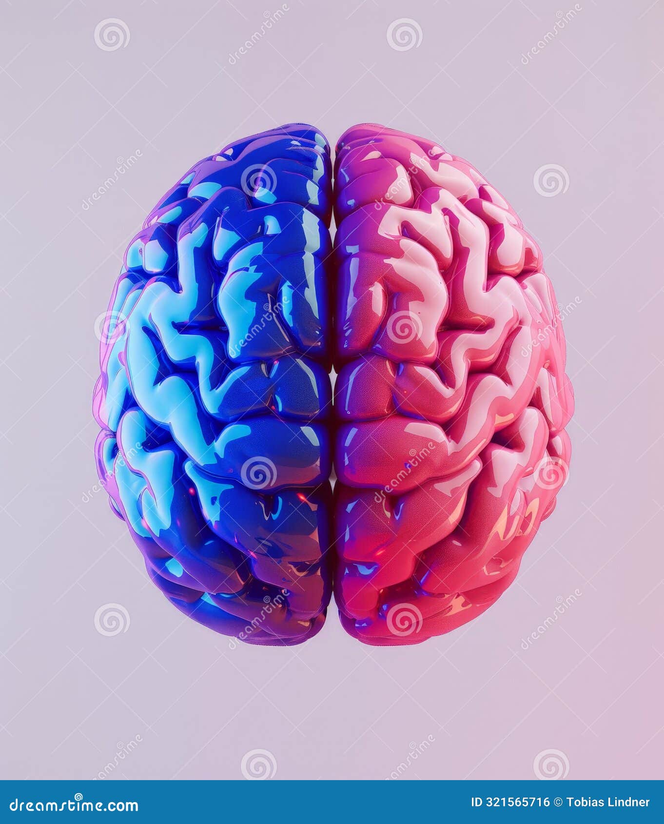 Highly Stylized, Glossy Brain Split into Two Halves Stock Illustration ...