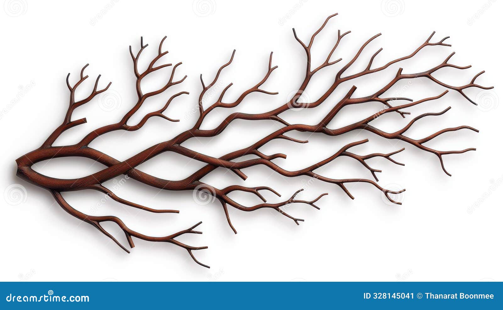 Highquality Isolated Tree Branch Cutout for Design Projects on White ...
