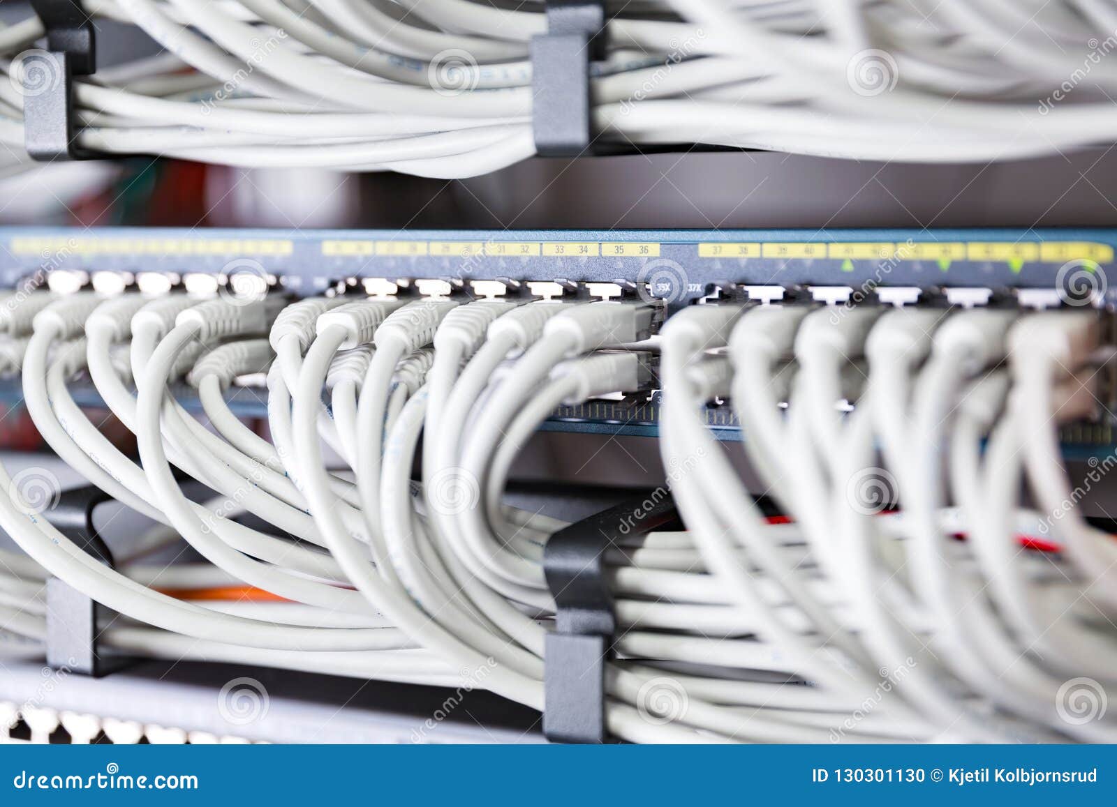 Highspeed Network Switch and Perfect Aligned Patch Cables in Datacenter ...