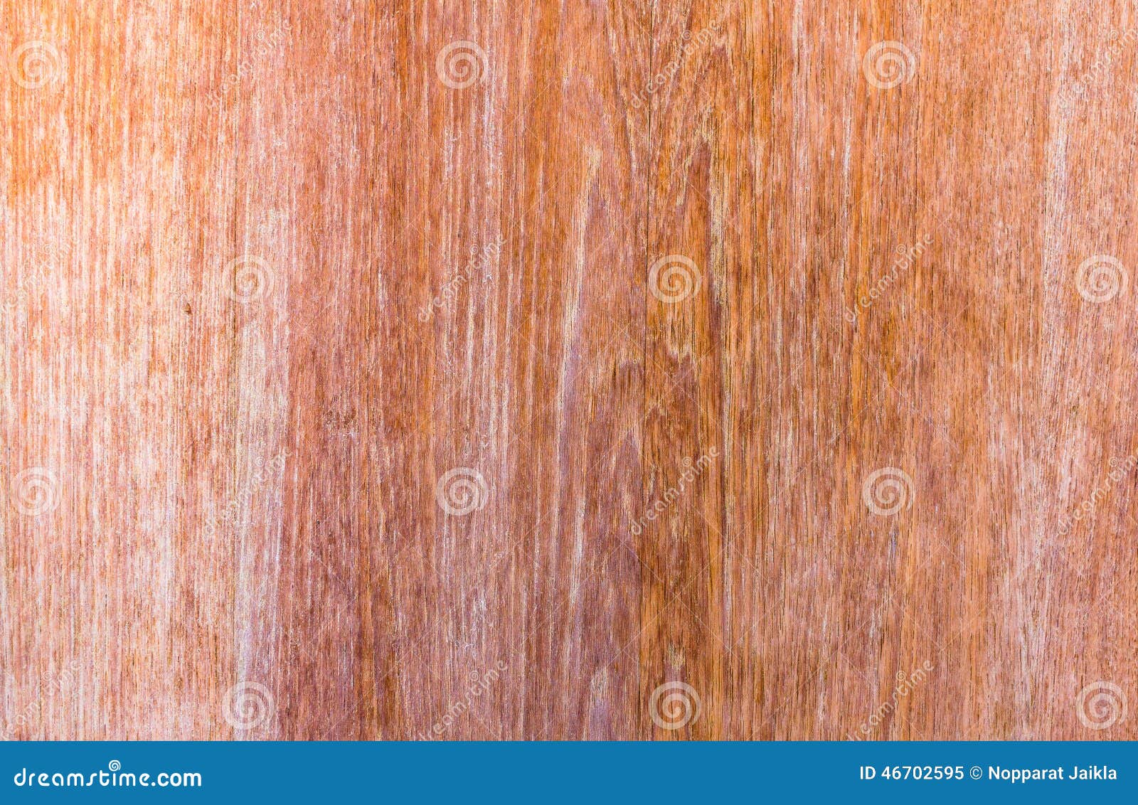 Woodgrain Texture (background) Stock Photo | CartoonDealer.com #24613278