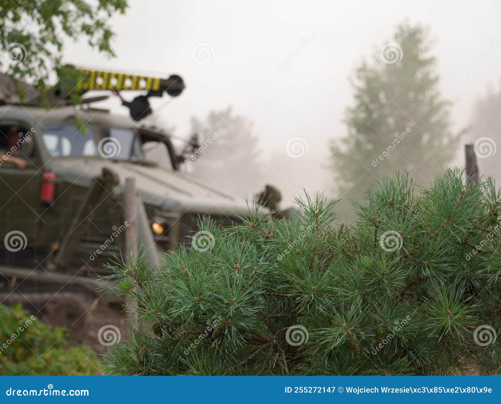 HIGHT SPEED TRACK DOZER on BACKGROUND of PINE BRANCHES Stock Image ...