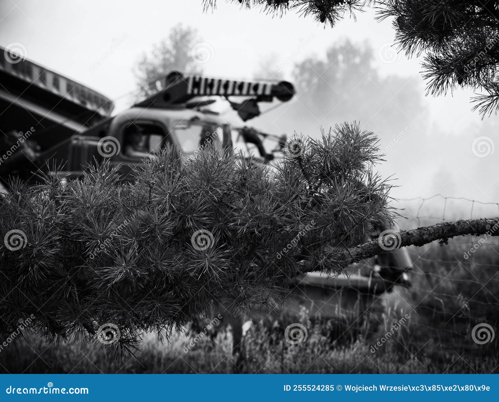 HIGHT SPEED TRACK DOZER on BACKGROUND of PINE BRANCHES Stock Image ...