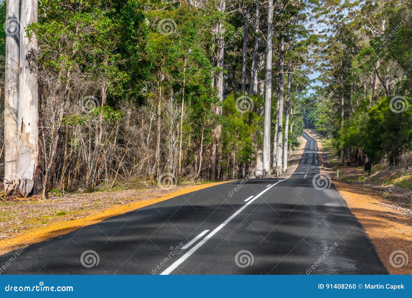 Highway through Australian Forest Stock Photo - Image of road, forest ...