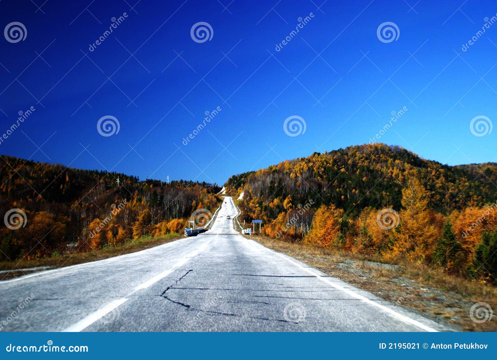 Highway through Autumn Forest Stock Image - Image of landscape ...