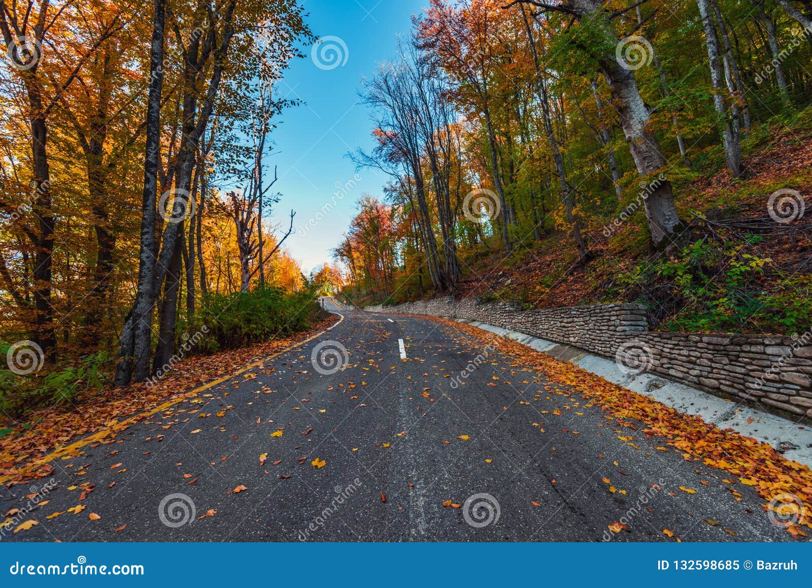 Highway in the Autumn Mountain Forest Stock Image - Image of landscape ...