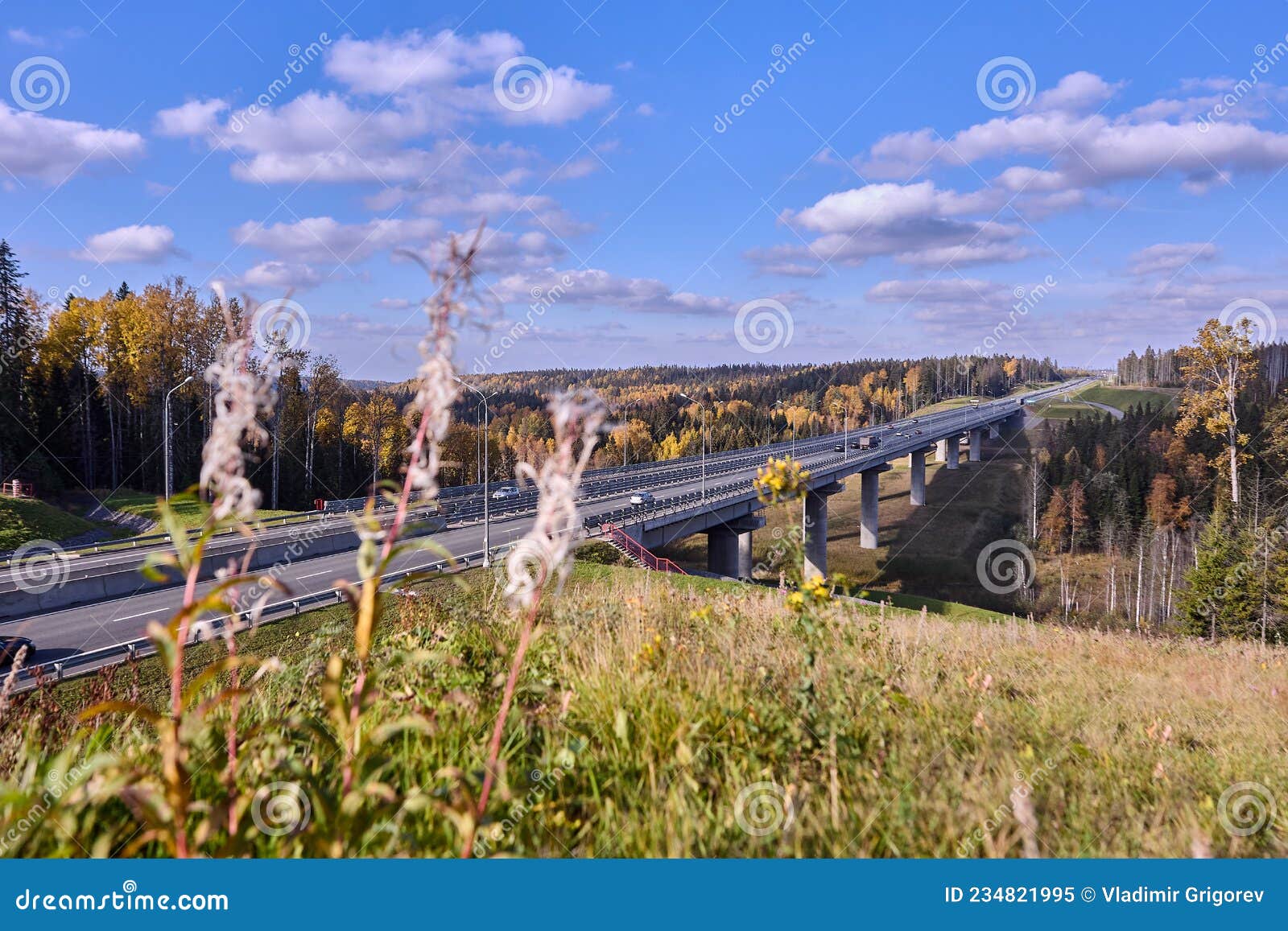 Highway Bridge Overpass on Expressway through Russian Forest. Stock ...