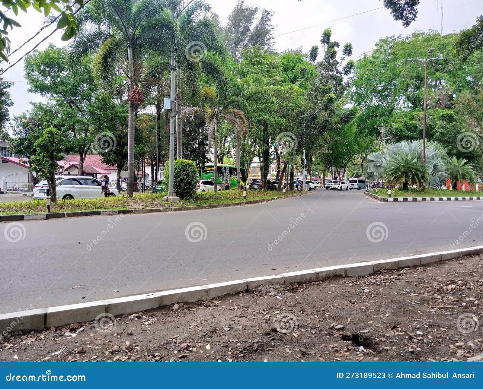 Highway Decorated with Trees on the Side Stock Image - Image of trees ...