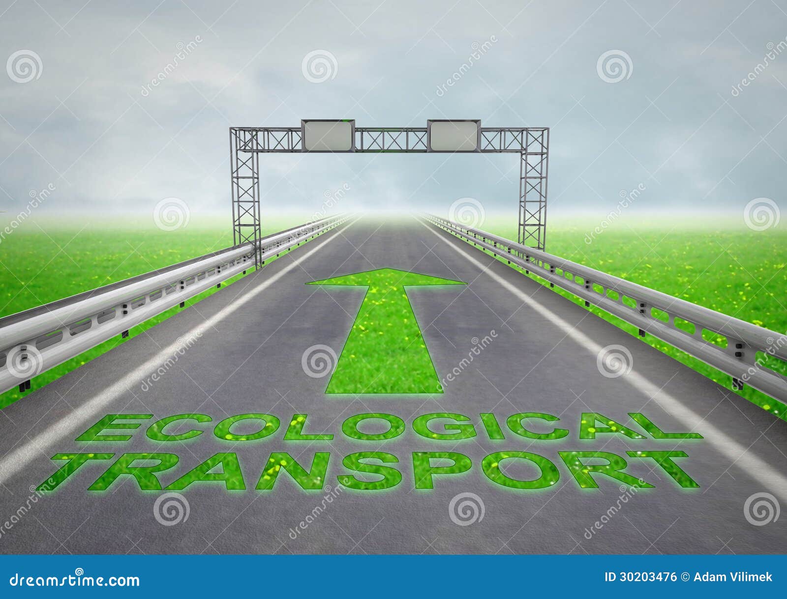 Highway only for Ecological Transport with Sky Stock Illustration ...