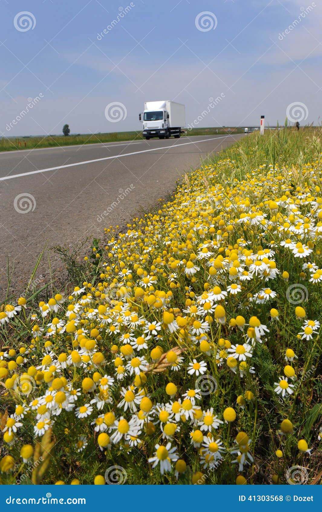 Highway flowers stock photo. Image of rally, road, drive - 41303568
