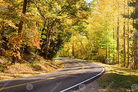 Highway through forest stock image. Image of recedes, hills - 6818563