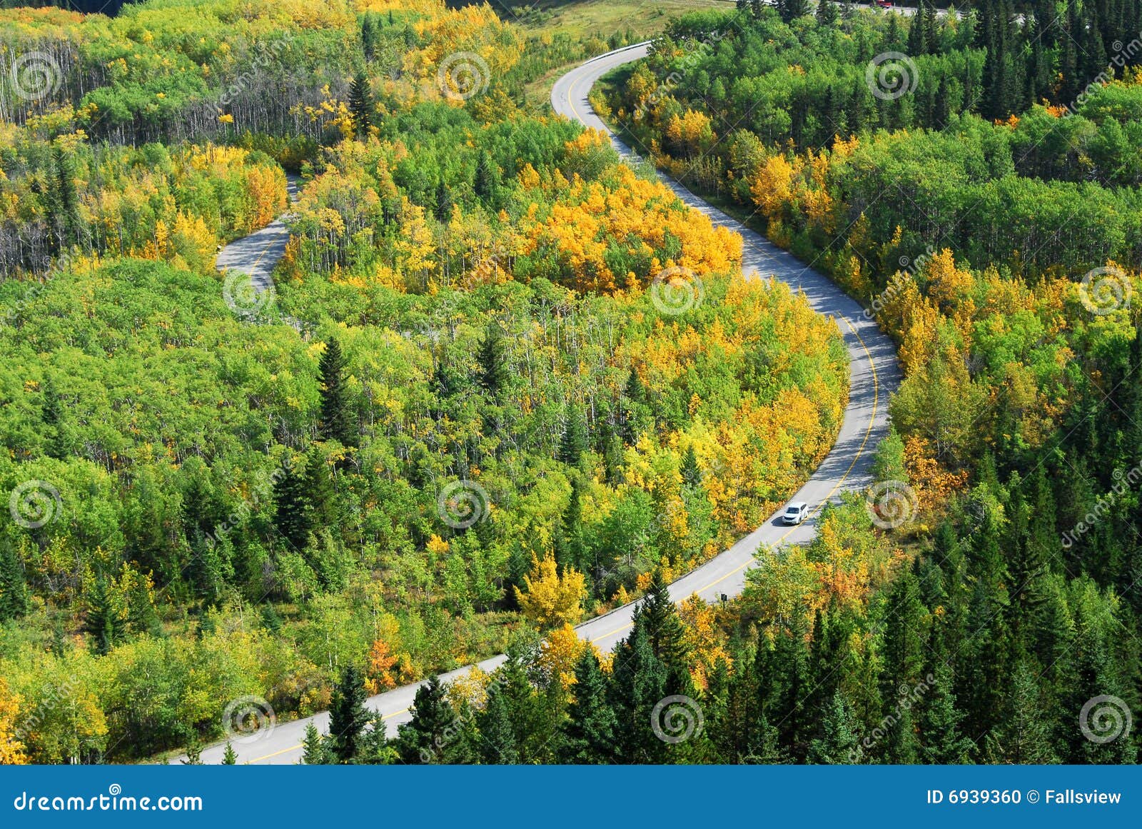 Highway in forest stock photo. Image of fall, canada, canadian - 6939360