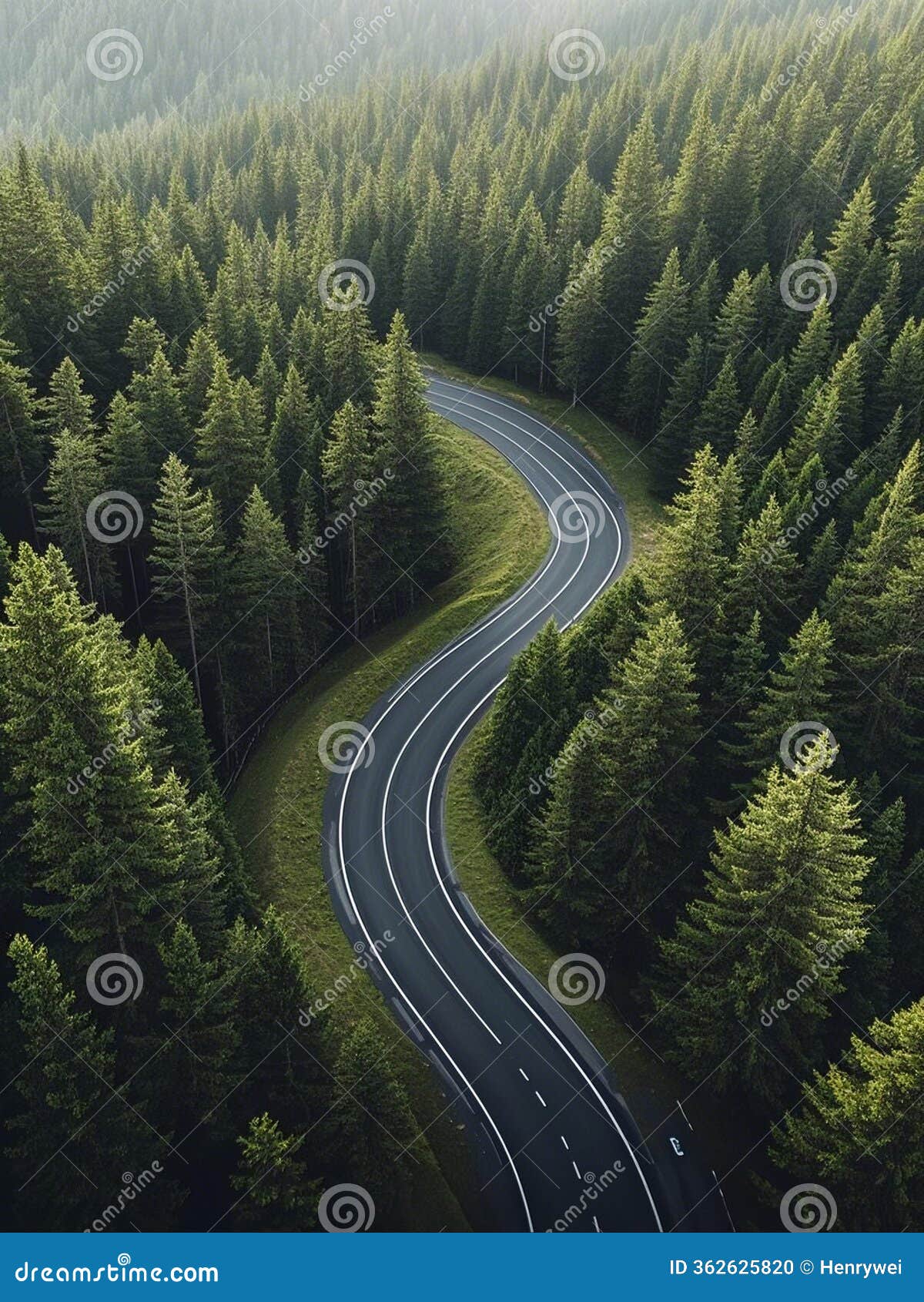 Highway through forest stock illustration. Illustration of outdoors ...