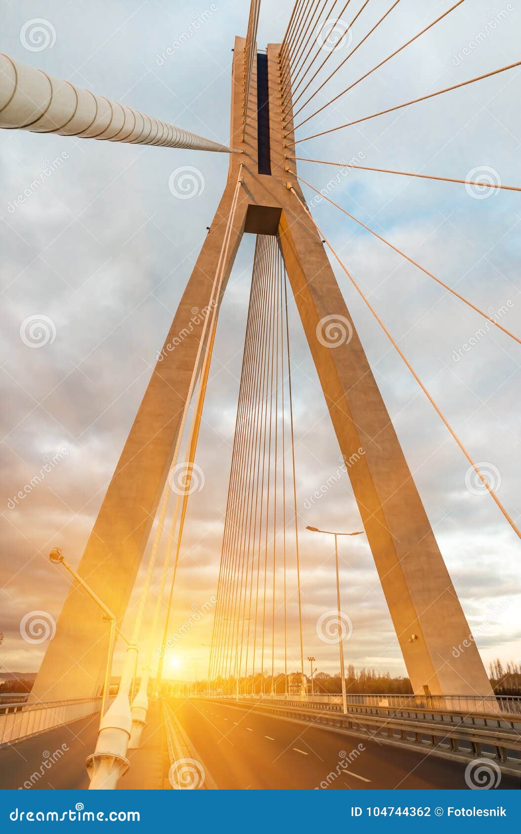 Highway Going through a Cable-stayed Bridge Stock Photo - Image of ...