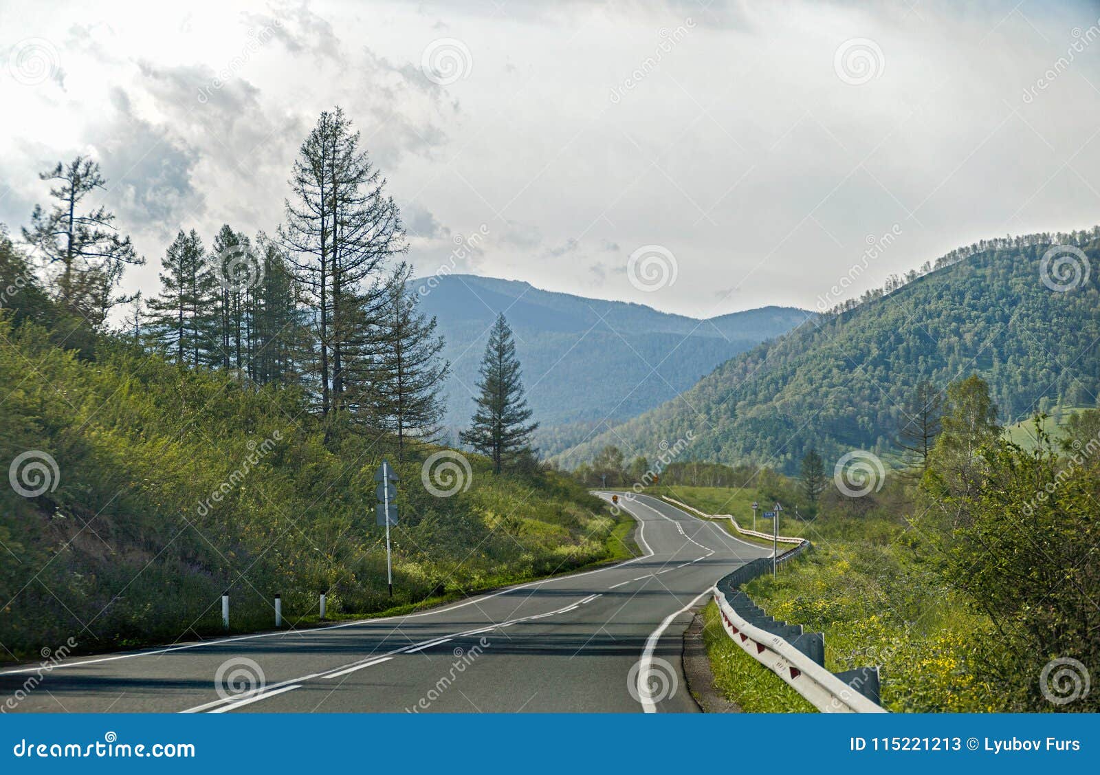 Highway through Hilly Terrain with Trees and Clouds on Blue Sky Stock ...