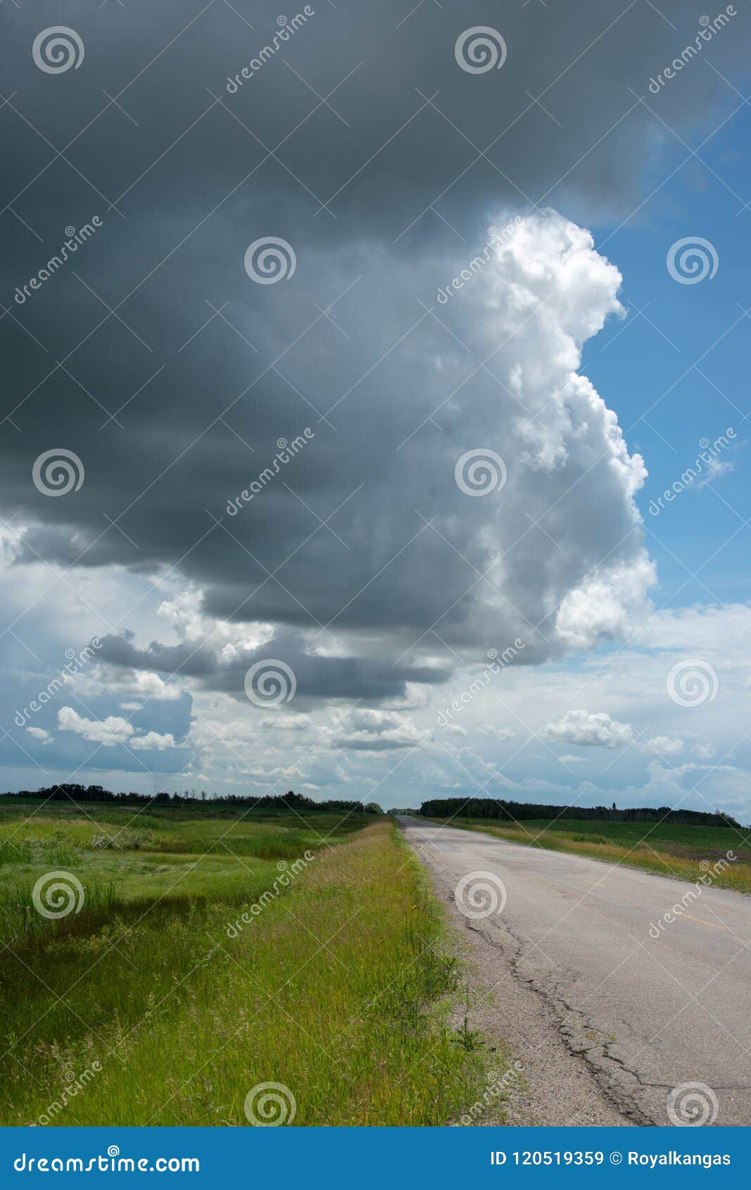 Highway 80, North of Churchbridge, Saskatchewan, Canada. Stock Image ...