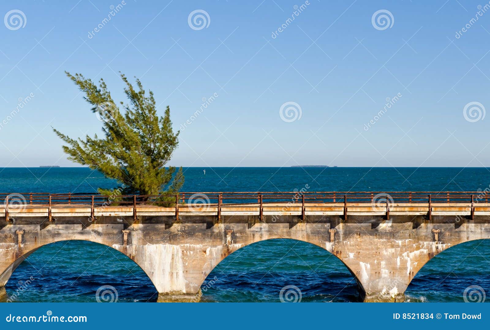 Highway over ocean bridge stock photo. Image of outside - 8521834
