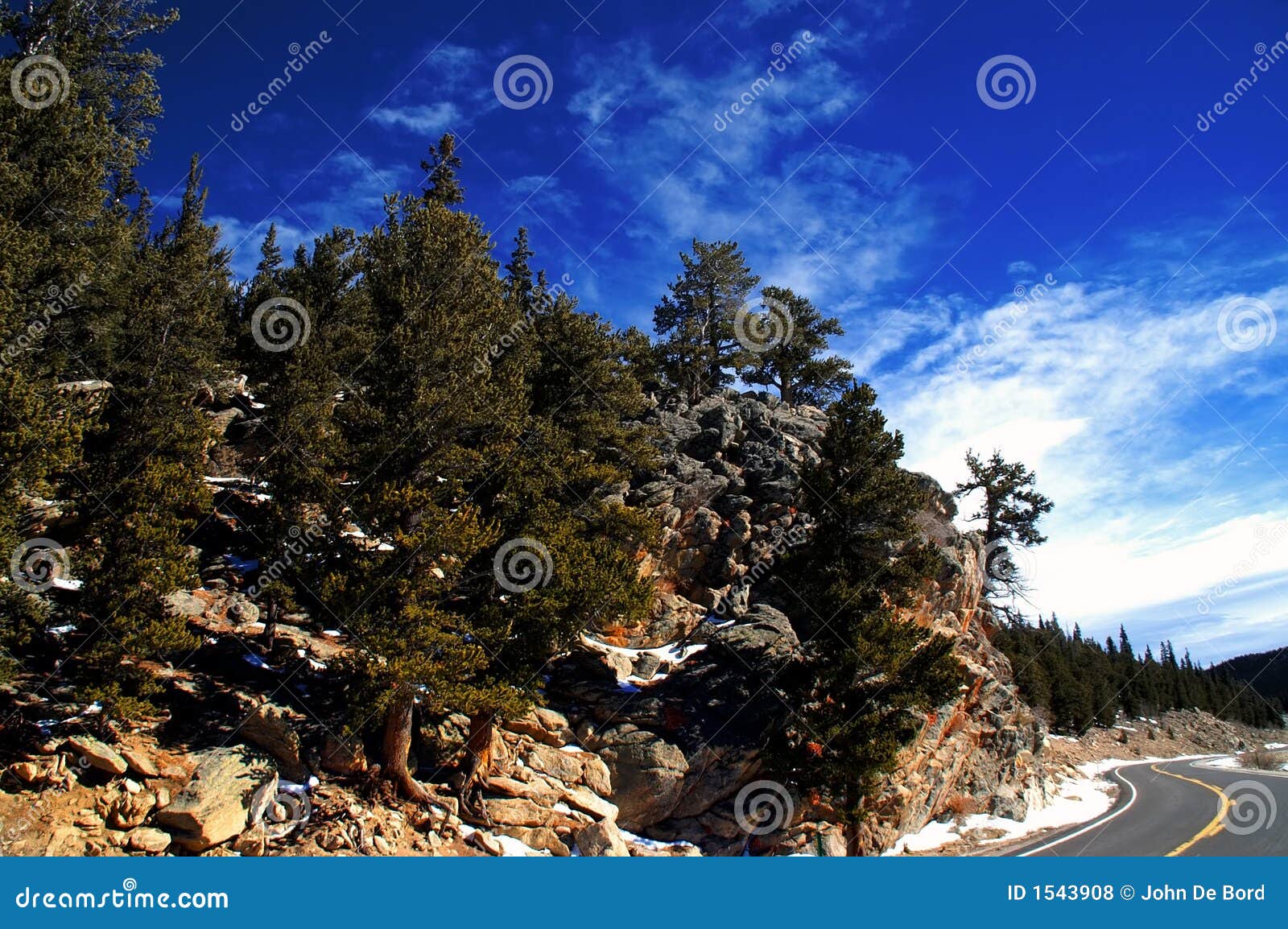 Highway with Pine Trees stock photo. Image of love, spring - 1543908
