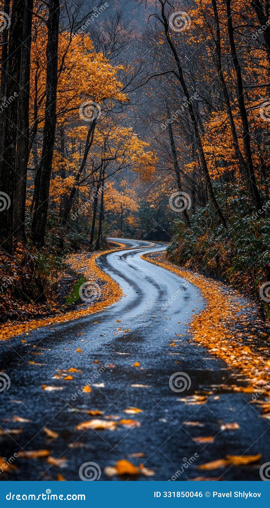 Highway Road through the Autumn Forest. Autumn Forest Road. Road in ...