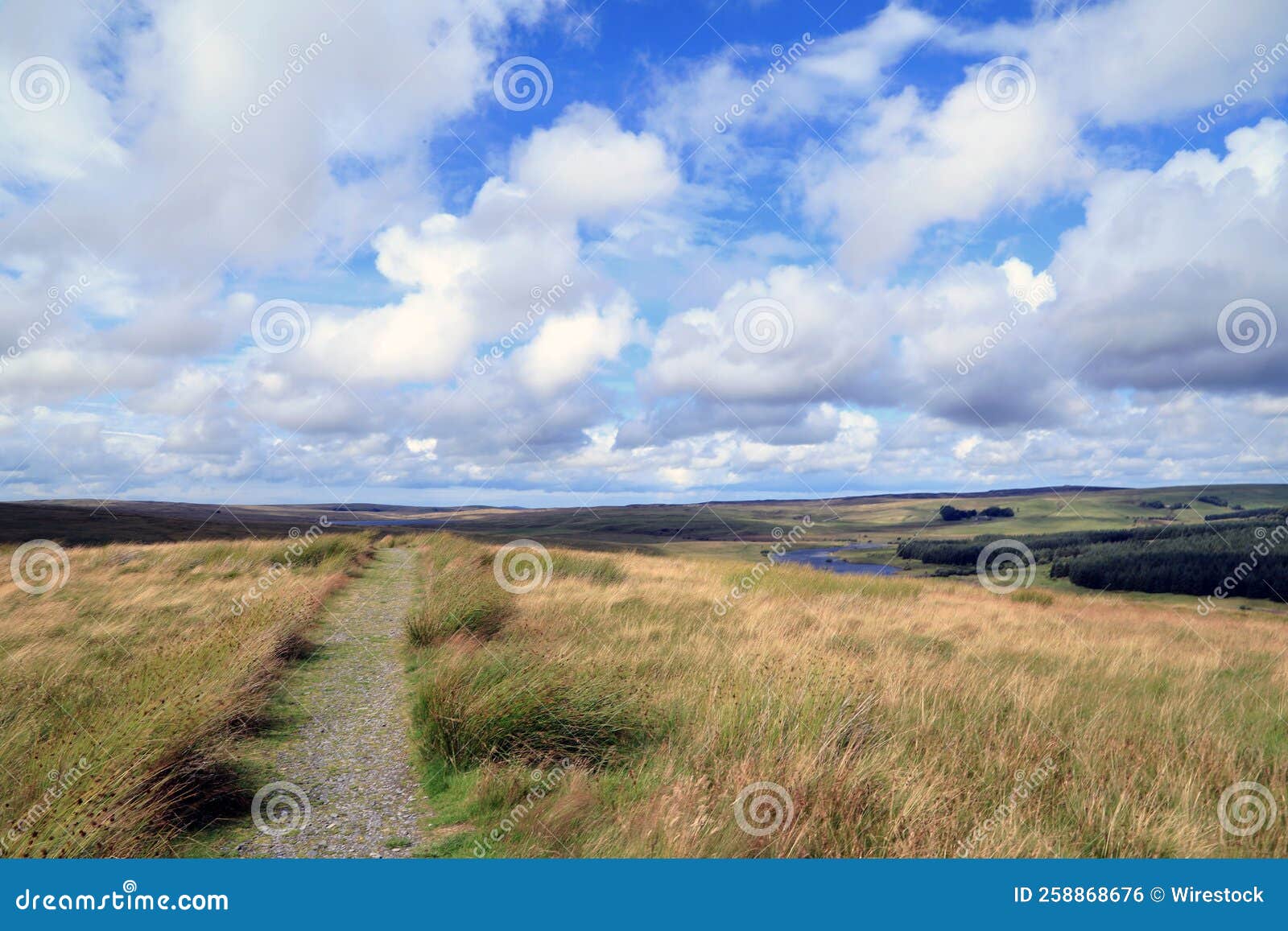 Highway Road through a Dry Valley Stock Photo - Image of scenic ...