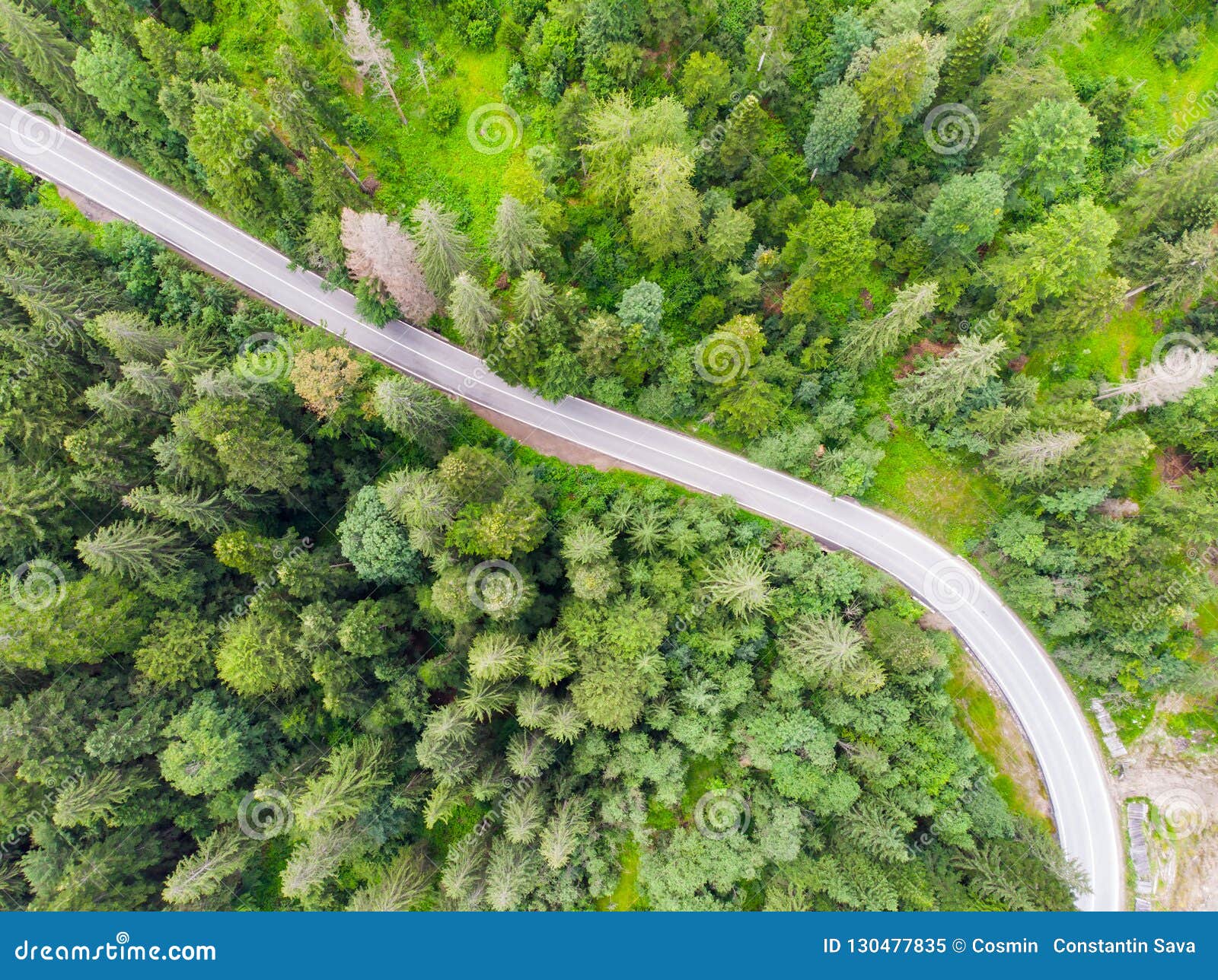 Highway Road in Forest, View from Above Stock Image - Image of ...