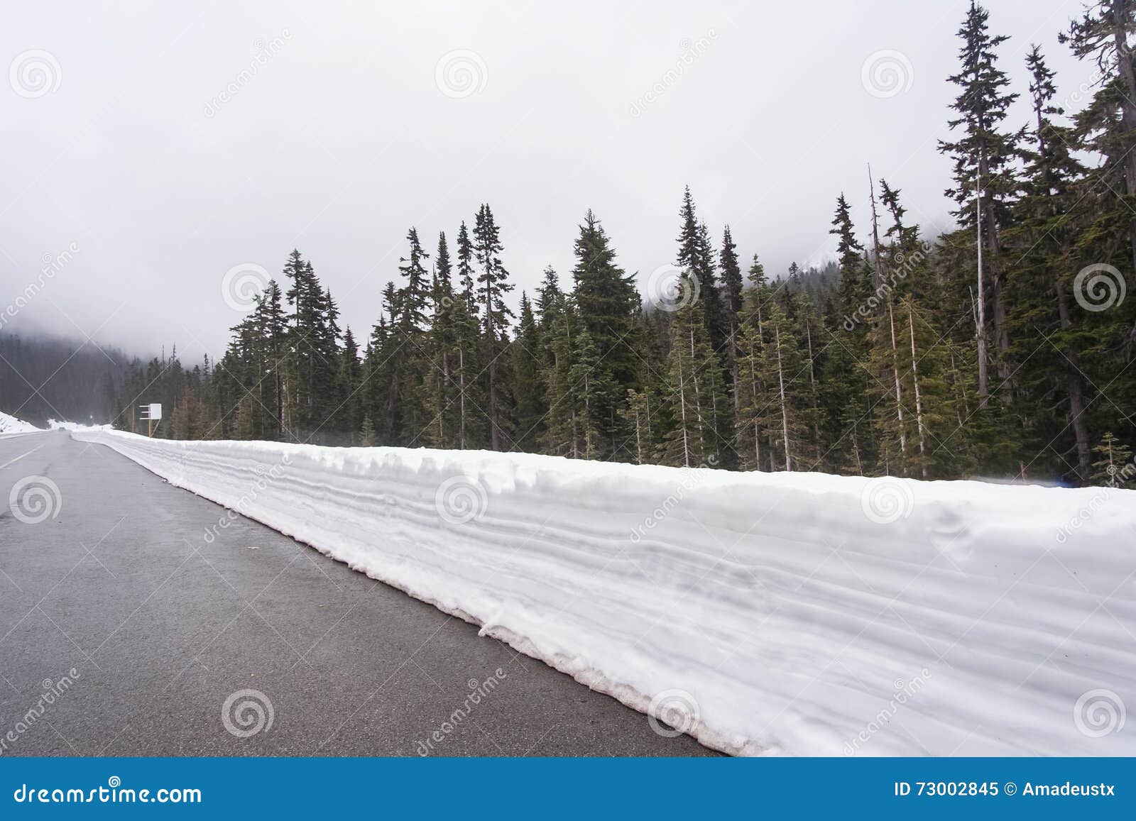 Highway Running through Forests of Washington Covered with Snow USA ...