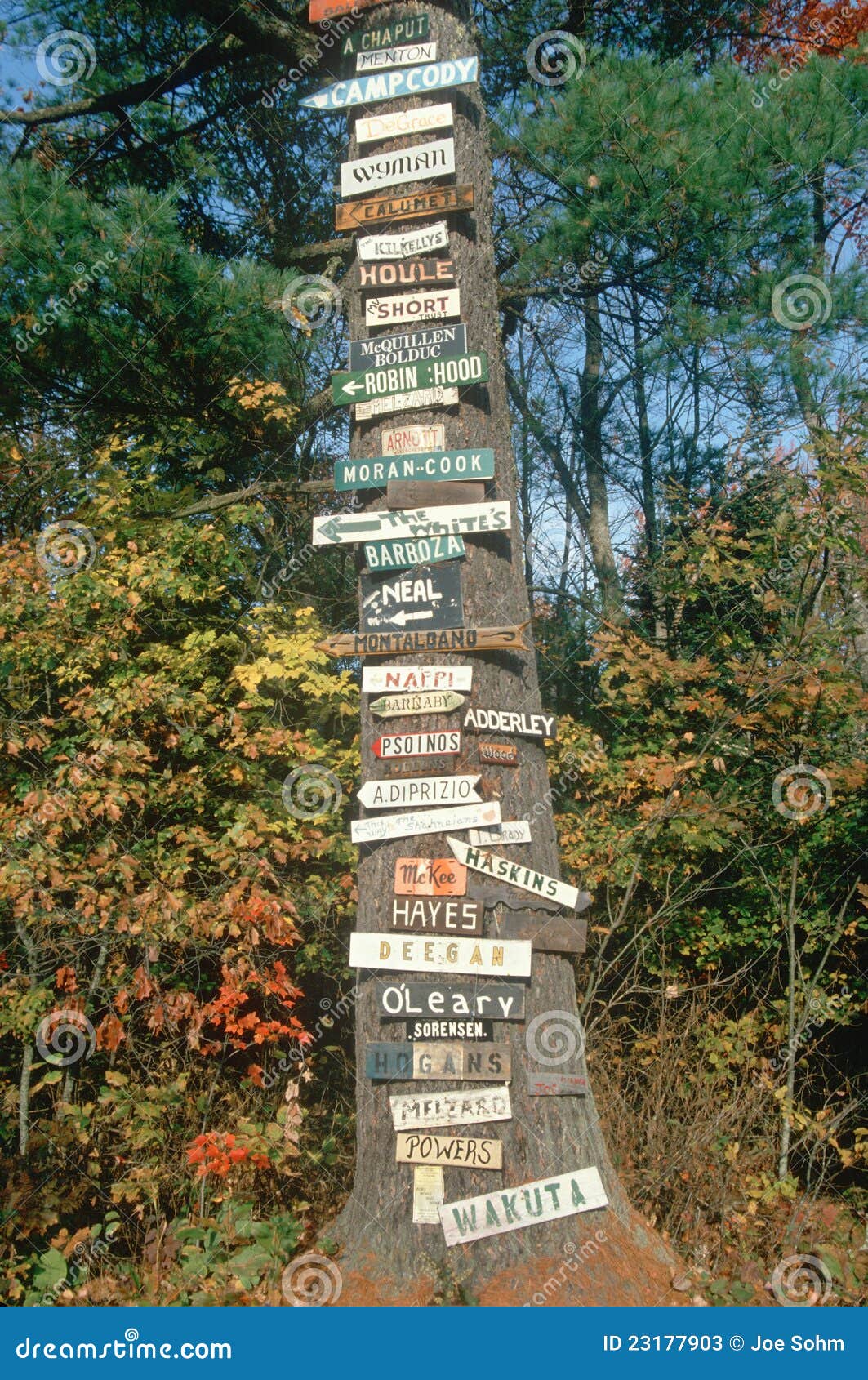 Highway Signs Editorial Photo | CartoonDealer.com #23177903