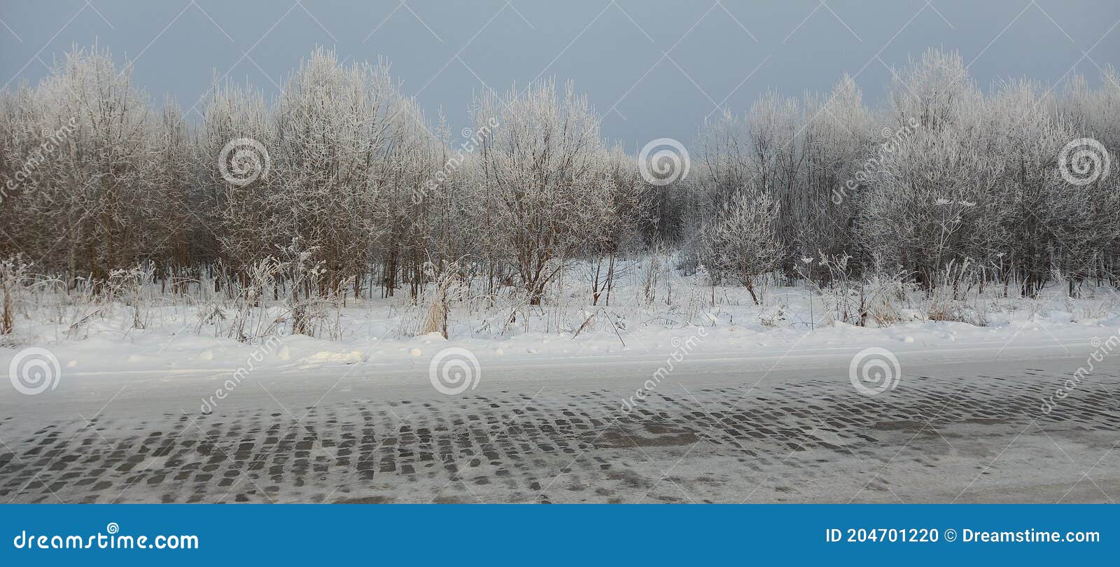 Highway, Sima, Snow, Cold, Trees Stock Photo - Image of trees, sunlight ...